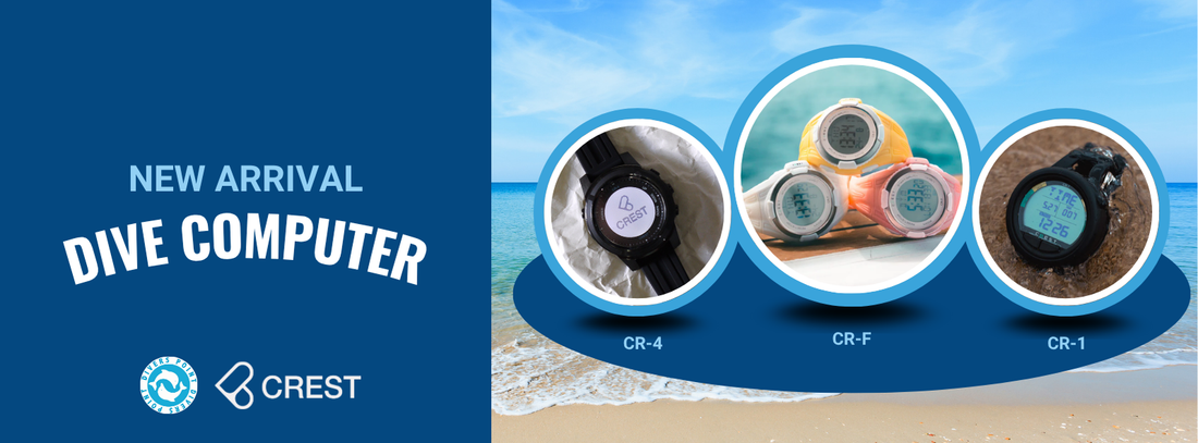 Diver's Point Co. – Divers Point Co