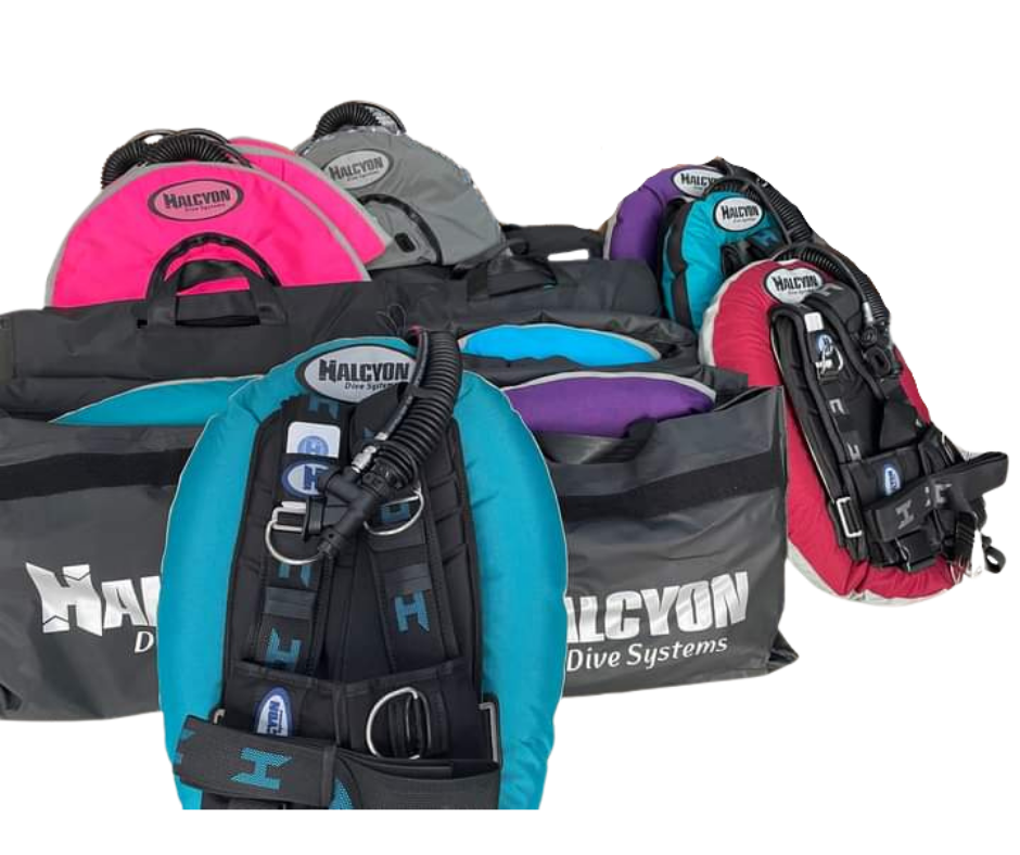 Halcyon Infinity™ Backinflated (Pre-Order) – Divers Point Co